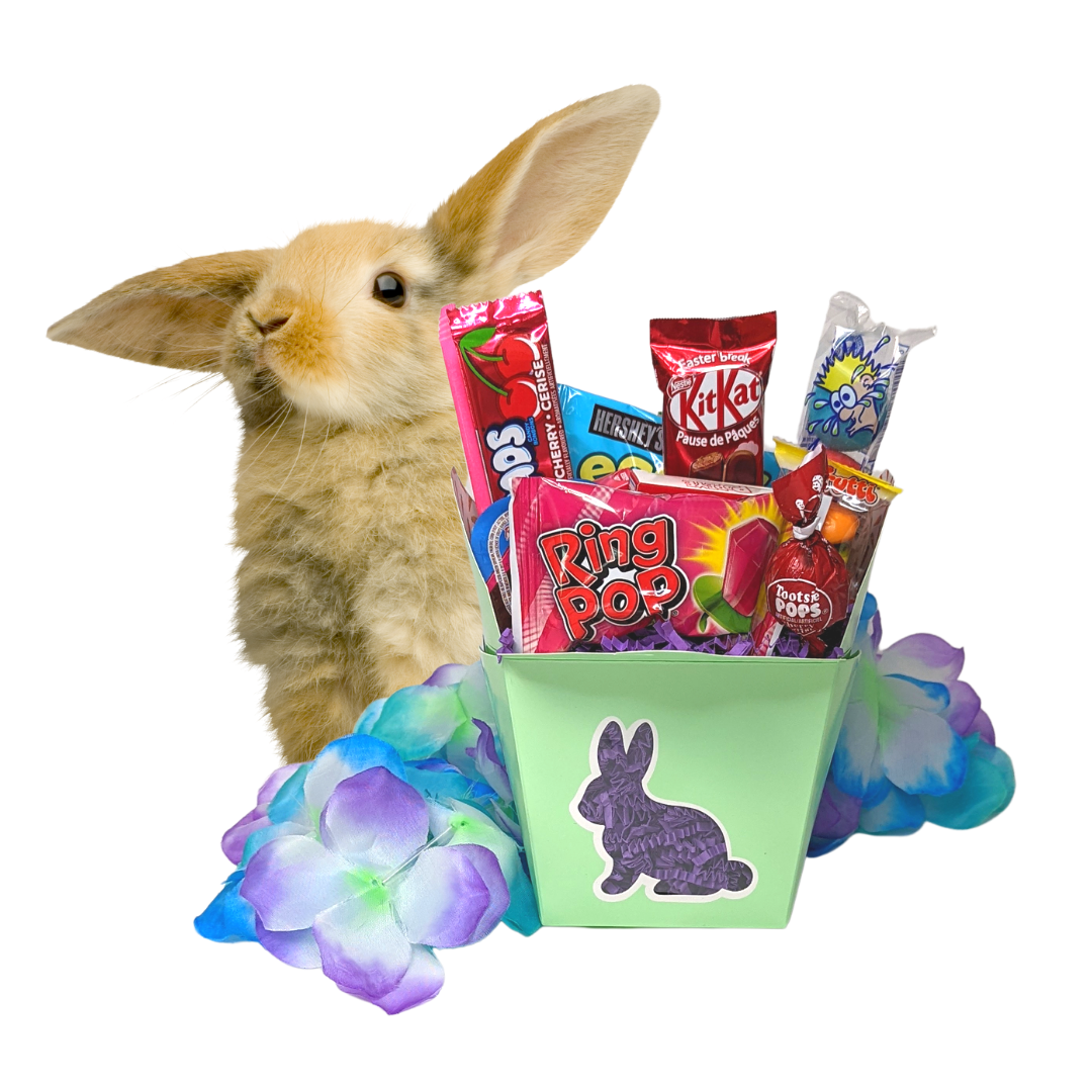 Easter Bunny Drop Basket – Gummi Boutique